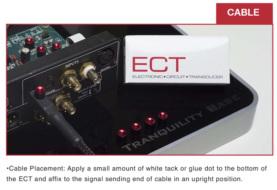 ELECTRONIC CIRCUIT TRANSDUCER – ECT • Scott Walker Audio
