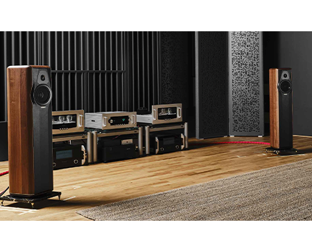 Maxima Amator • Scott Walker Audio